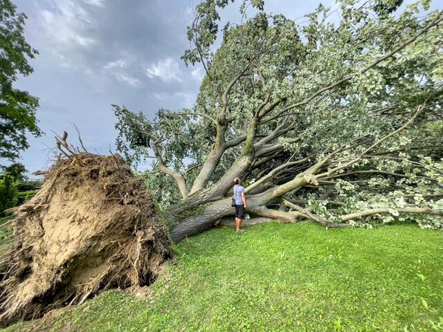 Datei:20230711 01 Gust Nordostschweiz Mike.jpg – Schweizer Sturmarchiv